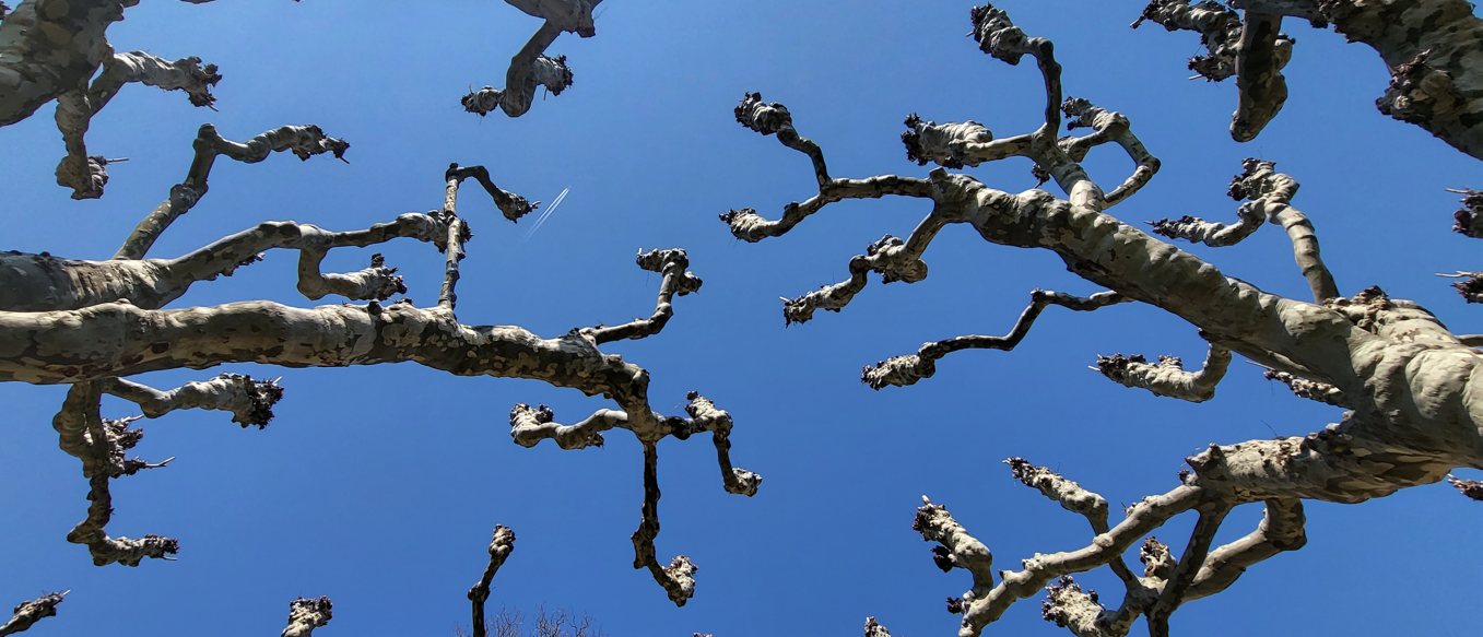 The rejuvenation of Japanese business culture (part 1) | JCO